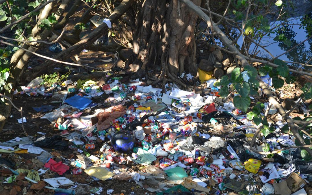 Environmental Ponderings: litter – the scourge of the modern world ...