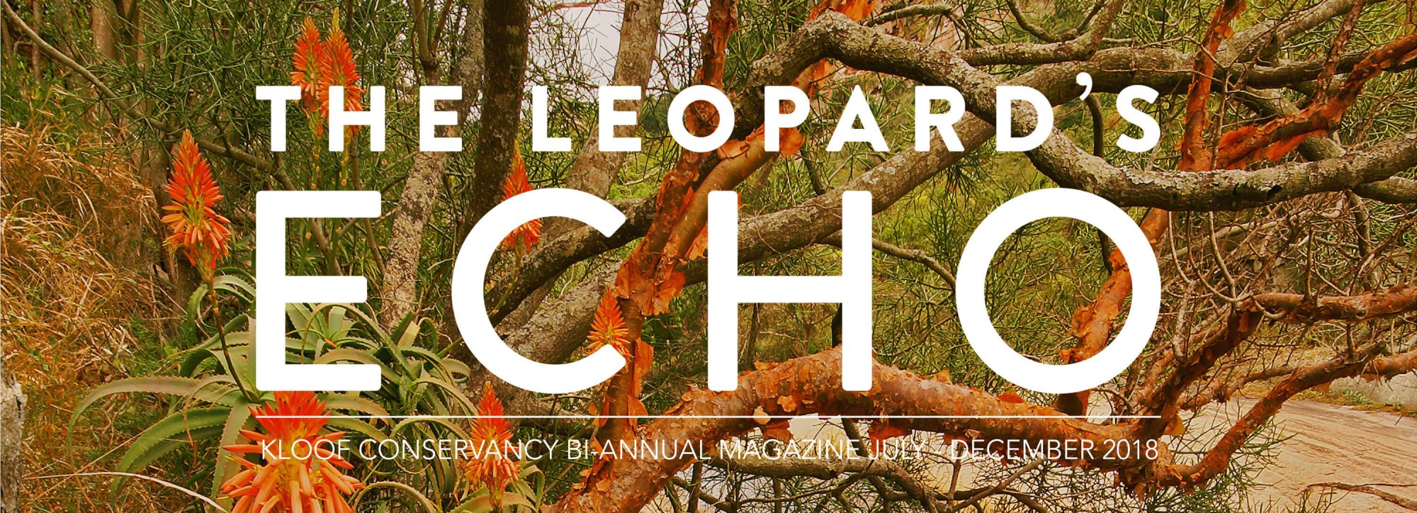 Leopard’s Echo July-December 2018 | Kloof Conservancy The Leopard's Echo