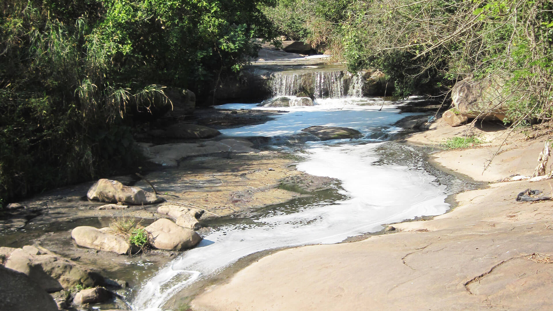 The Aller River: flowing slowly back to health | Kloof Conservancy The ...