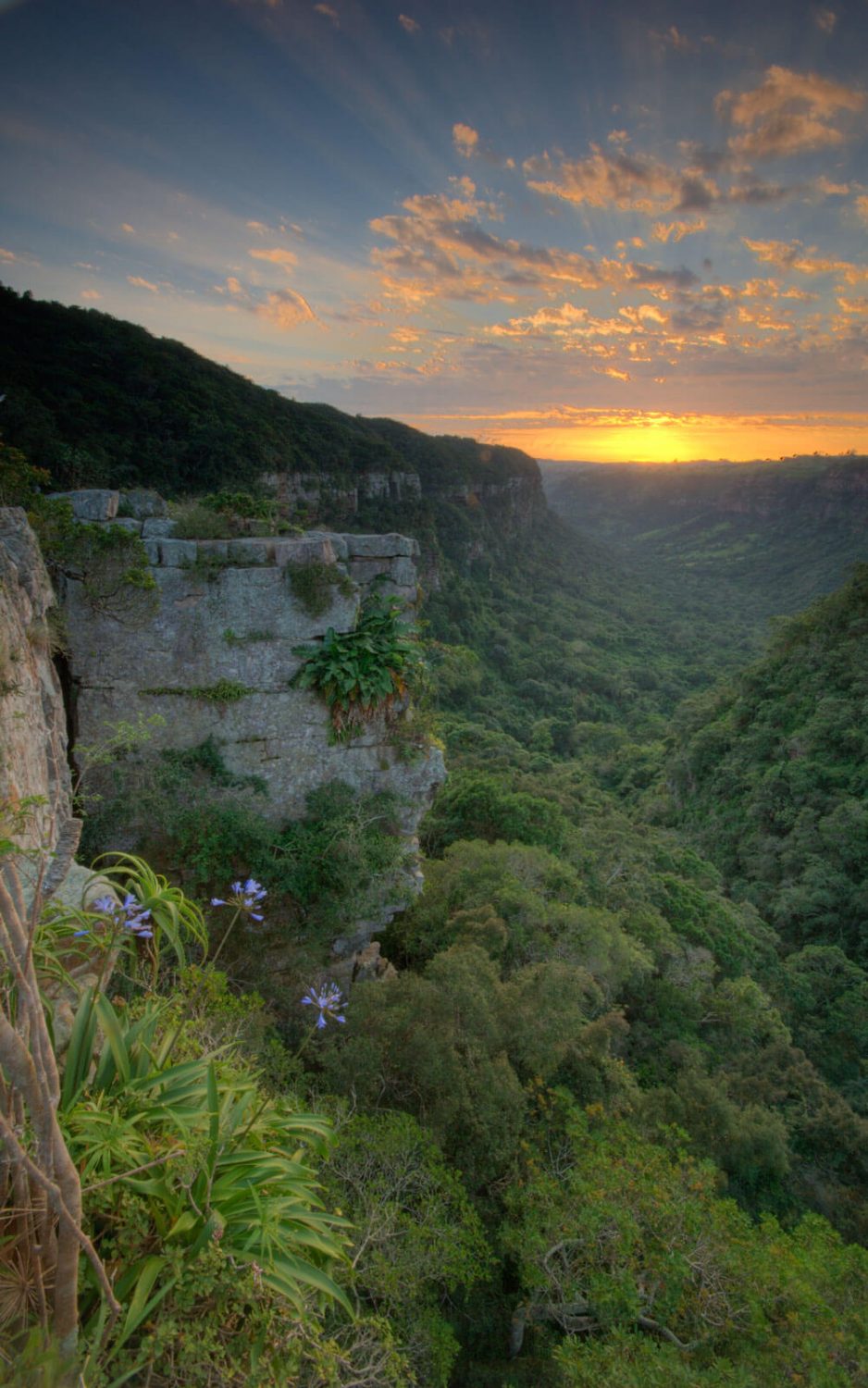 Eco impi: the practitioner | Kloof Conservancy The Leopard's Echo