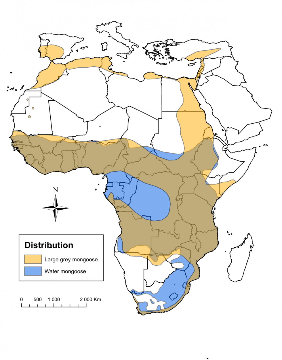 One goose, many geese; one mongoose, many mongooses! | Kloof ...