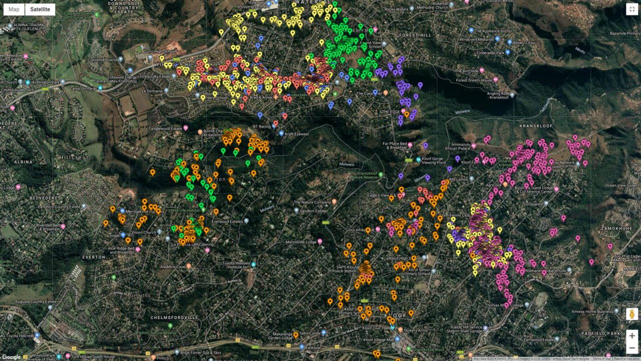 One goose, many geese; one mongoose, many mongooses! | Kloof ...