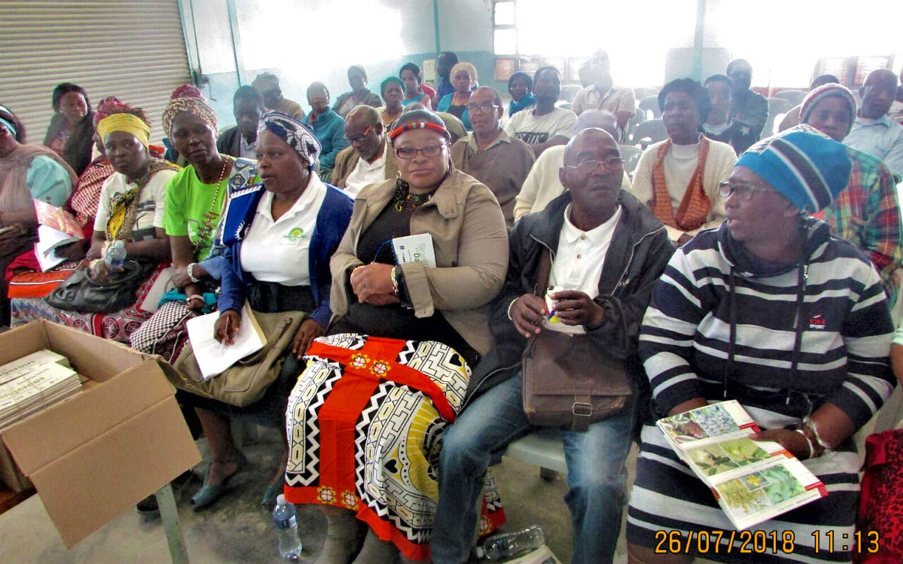 A journey to name invasive alien plants in isiZulu | Kloof Conservancy ...