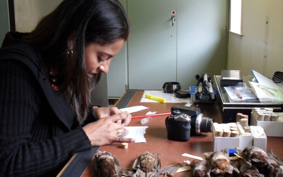 Carrying the baton of history – a Curator’s passion | Kloof Conservancy ...