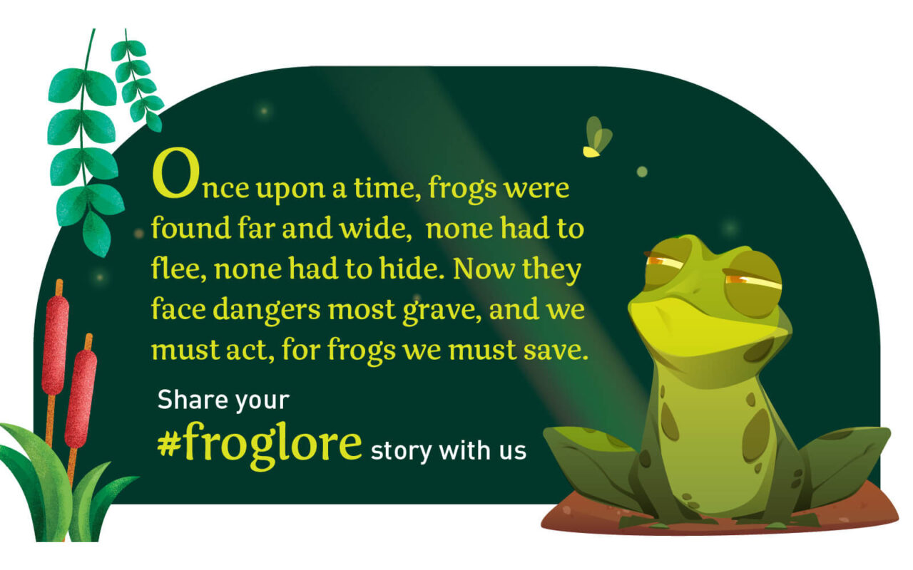 Frogs, folklore and fortune | Kloof Conservancy The Leopard's Echo