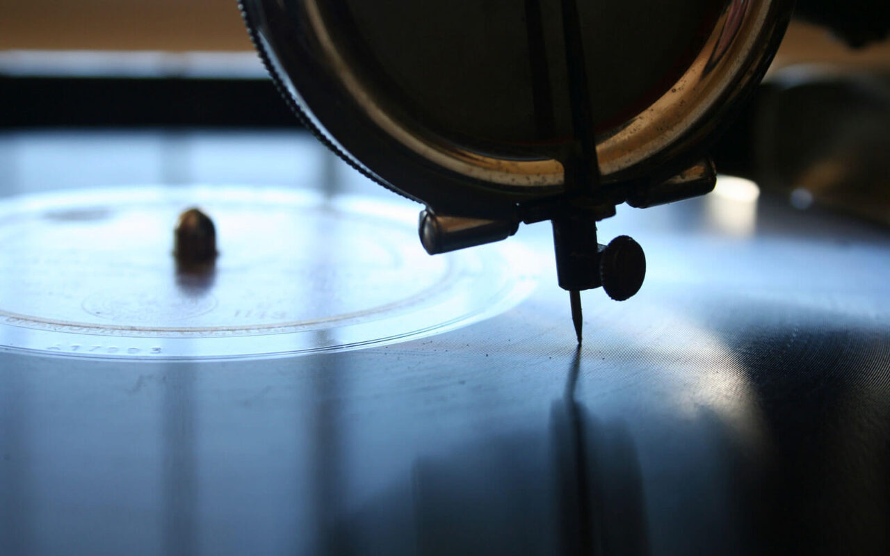 Insect lore and legend | Kloof Conservancy The Leopard's Echo