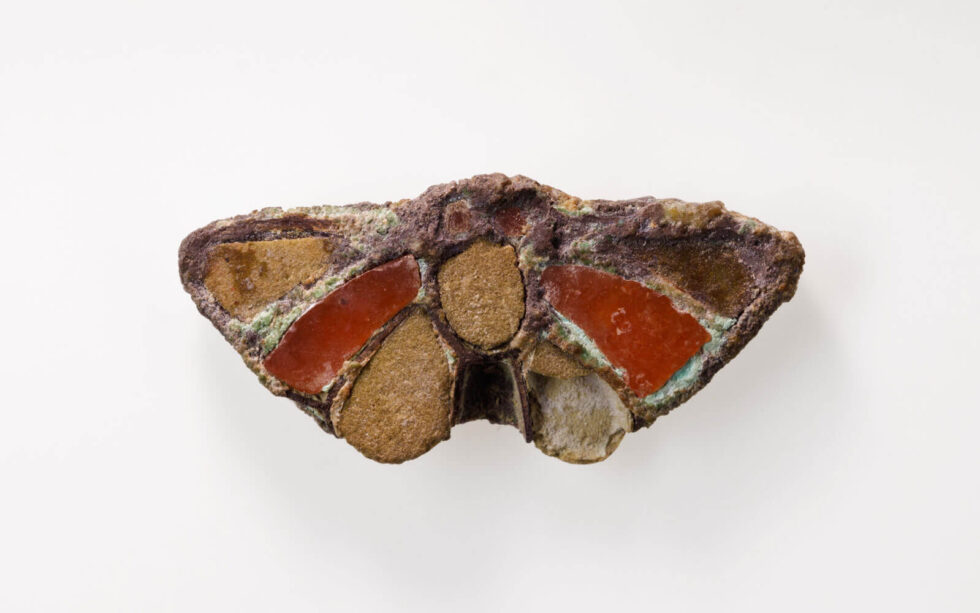 Butterflies and moths in myths and legends | Kloof Conservancy The ...