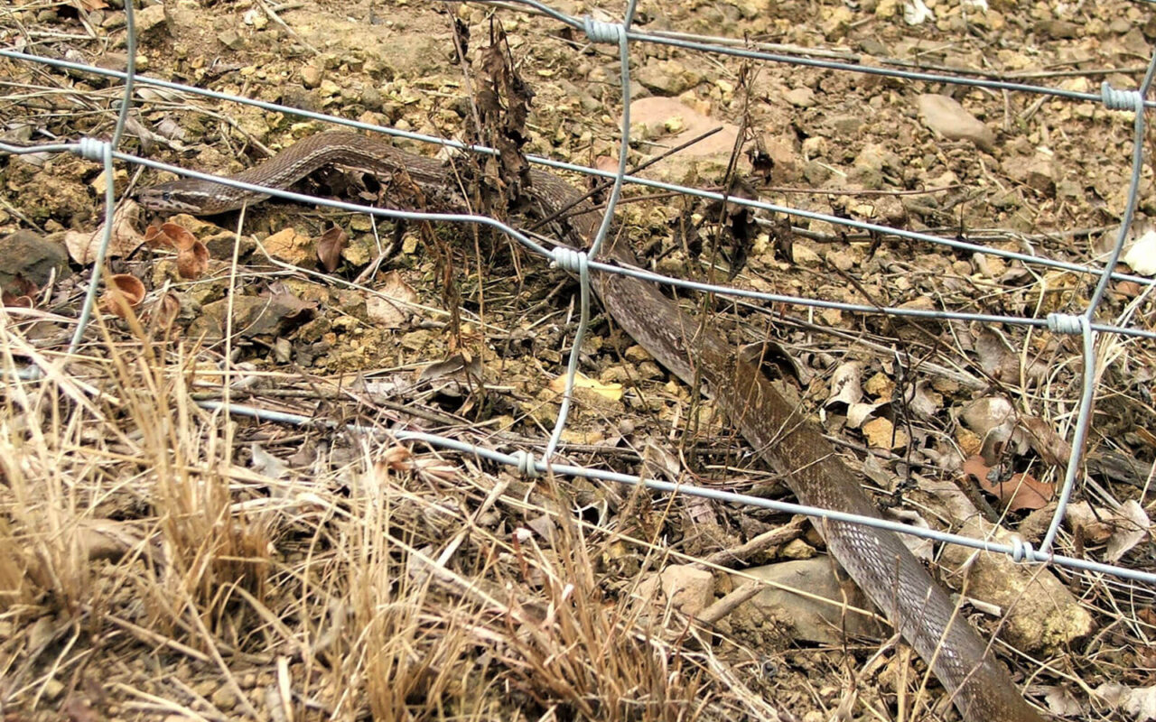 Night and day | Kloof Conservancy The Leopard's Echo